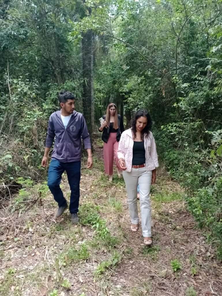 Mirta Vera, especialista en producción y valor agregado de mandioca ...